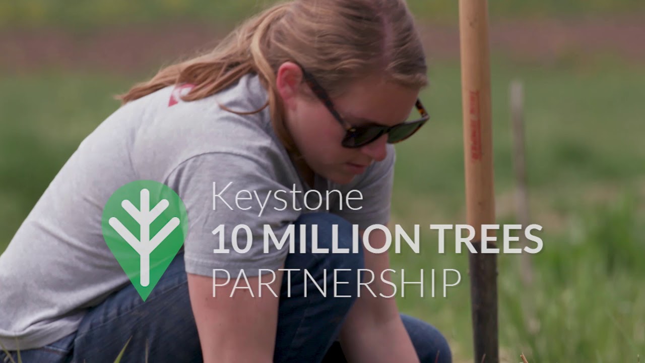 Keystone 10 Million Trees Partnership - YouTube