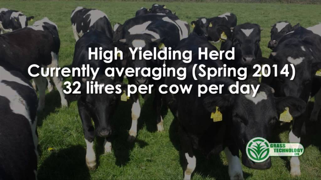 Zero Grazing Customer with Grass Technology - YouTube