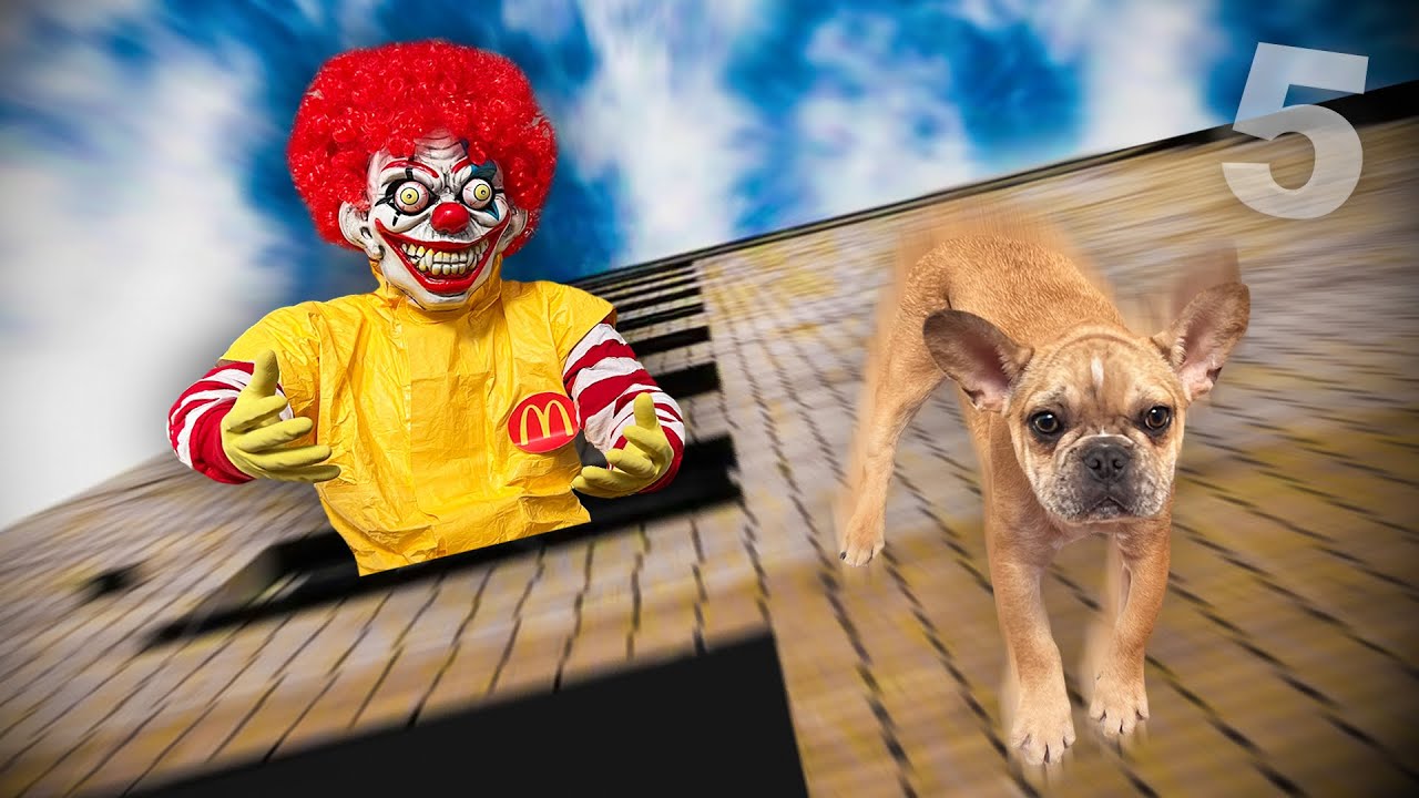el PAYASO MC DONALD'S LANZA A MI PERRO de 100 METROS DE ALTURA 😨😨 - YouTube