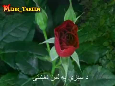 Nashnas Khaat Pa Makh Da Sanam Raghay (Mehr_Tareen) - YouTube