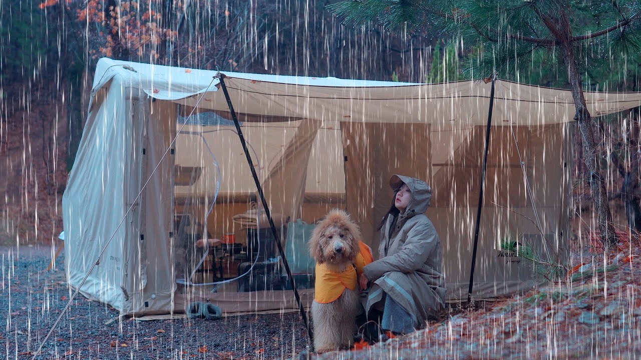 ☔️비 내리는 깊은 숲 속 에어텐트에서 강아지와 아늑한 우중 캠핑 캠핑 우중캠핑 애견동반캠핑 빗소리 Asmr