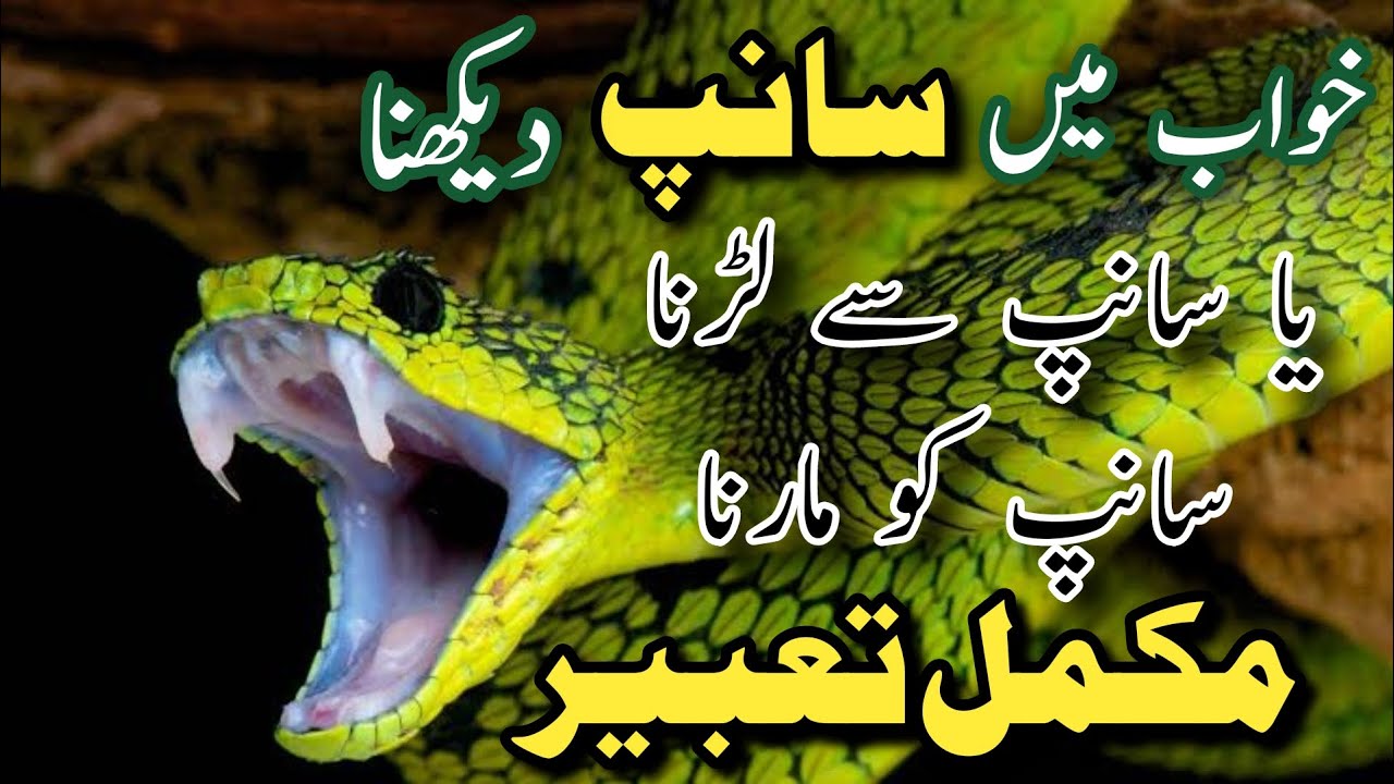 khwab mein saanp dekhna| خواب خوابمیں دیکھنا | Seeing a snake in a ...