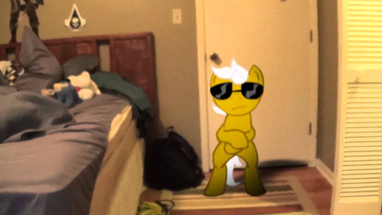 Pony Gangnam Style : MLP IRL - YouTube