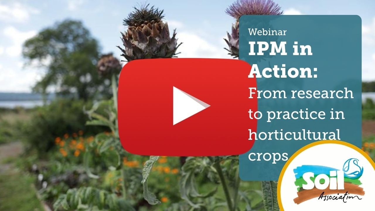 IPM in Action: From research to practice in horticultural crops - YouTube