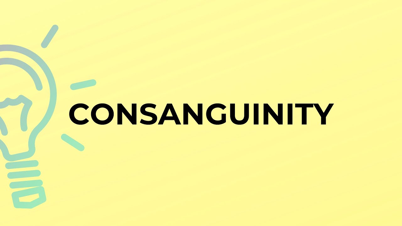 What is the meaning of the word CONSANGUINITY? - YouTube