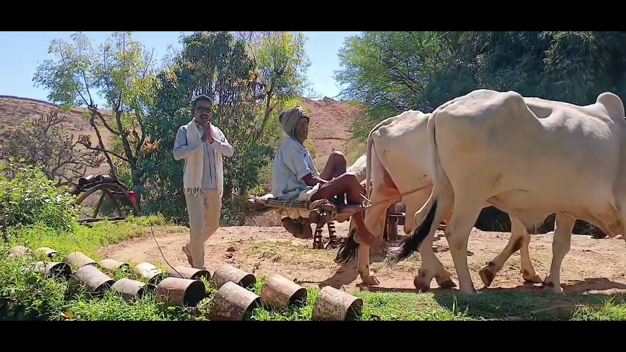 हजारों साल पुरानी पद्धति | Rahat | Old Irrigation System in Rajasthan ...