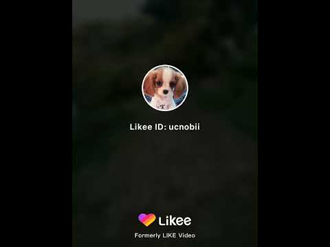 Shemodgoma kaxetshi - YouTube