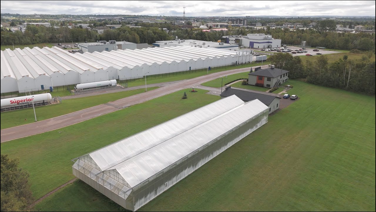 19 Regis Duffy Drive, Charlottetown PEI - YouTube