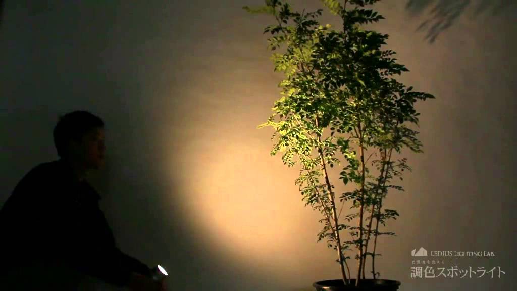 De-SPOT 100V 調色リング紹介 - YouTube