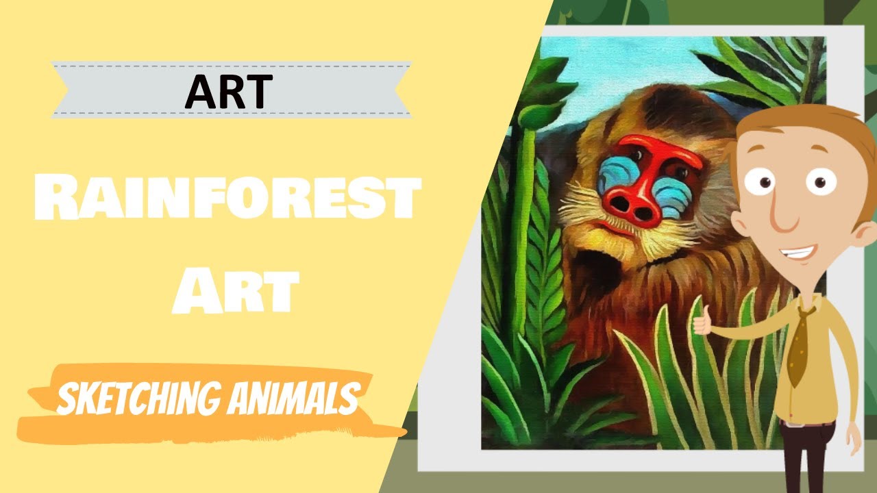 Rainforest Art - Animal drawings (Primary School Art Lesson) - YouTube