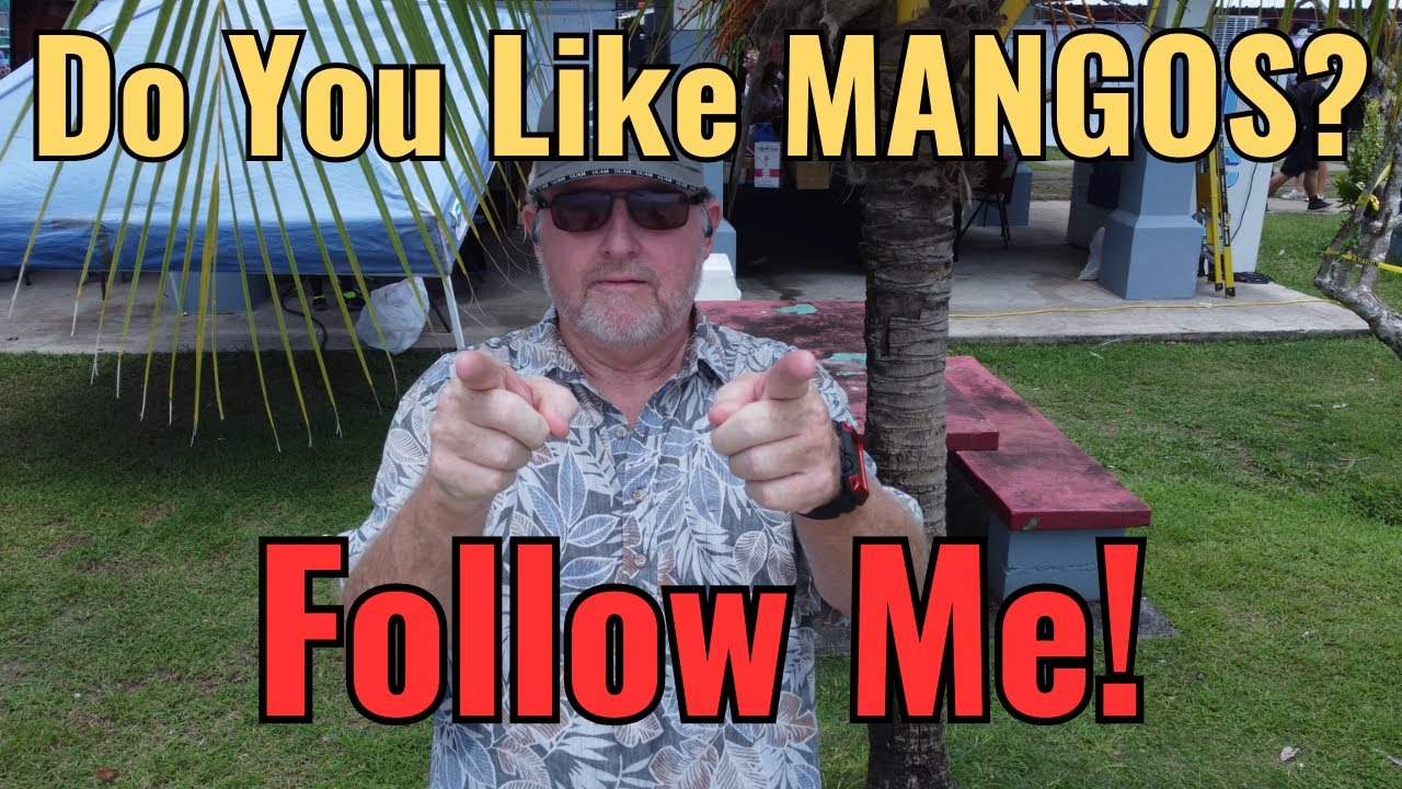 14th Annual Agat Mango Festival in Guam! | Ep 318 - YouTube