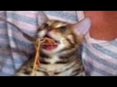 Little Mistake Meme (13+) // Organsoda Animation // (Credit in desc ...