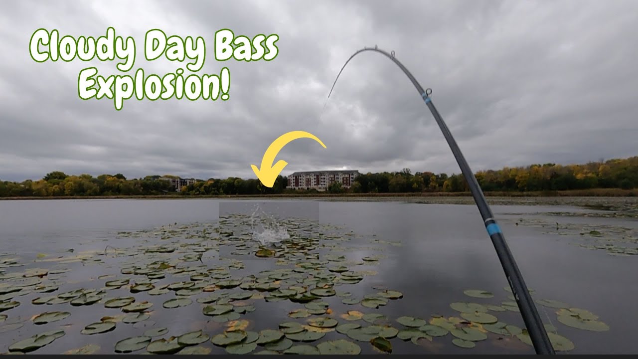 Cloudy Day Bass Explosion | J-Hooked Fishing - YouTube