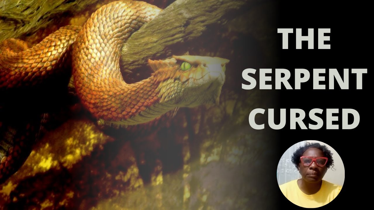 The Serpent Cursed | Genesis 3v14-15 - YouTube