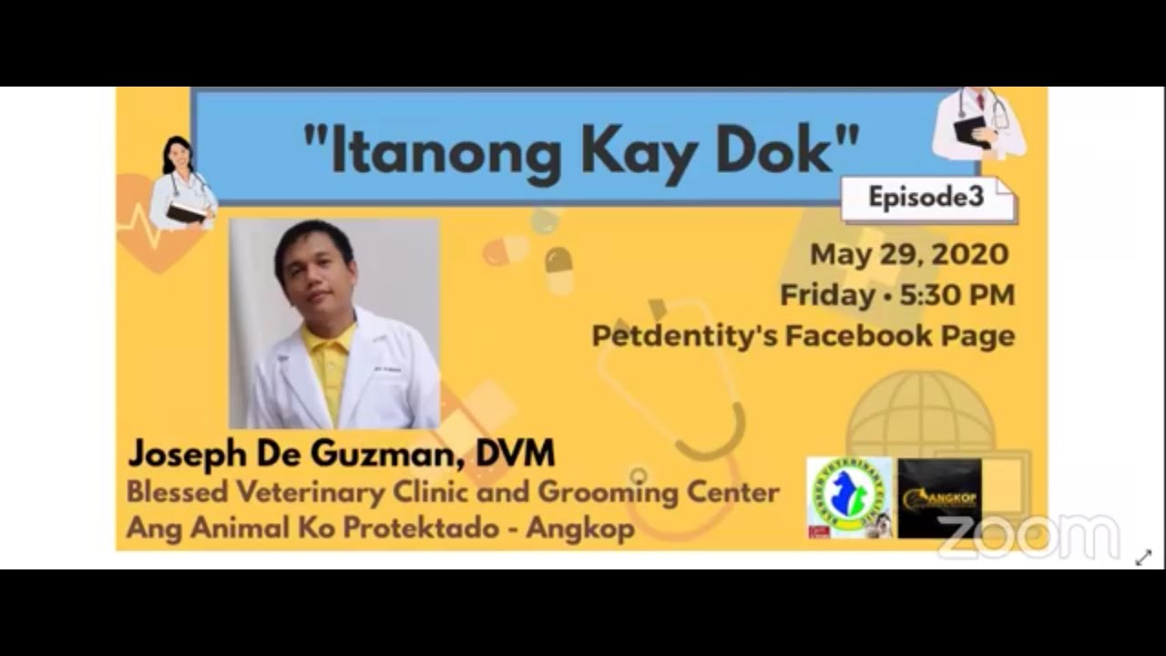 Live Interview: Itanong mo kay Dr. De Guzman - For Animal Lover PH ...