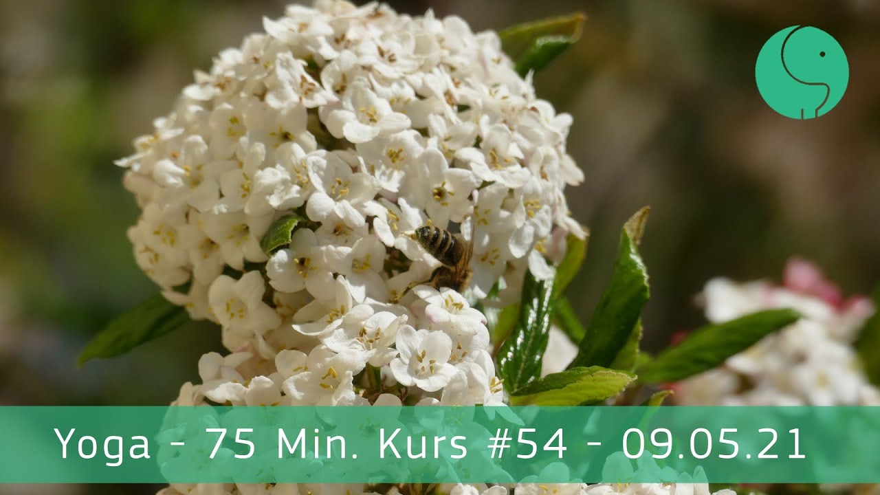 Yoga - 75 Minuten Kurs #54 - 09.05.21 - YouTube