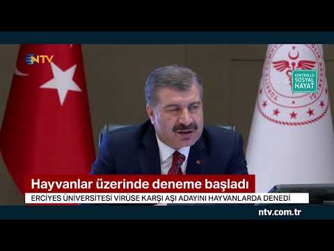 Hayvanlar üzerinde aşı denemesi başladı