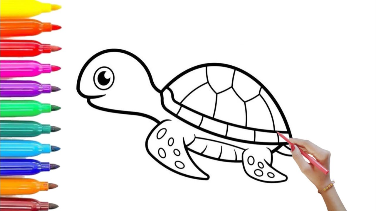How to draw a turtle 🐢 drawing and coloring a cute rainbow turtle 🐢🌈 ...