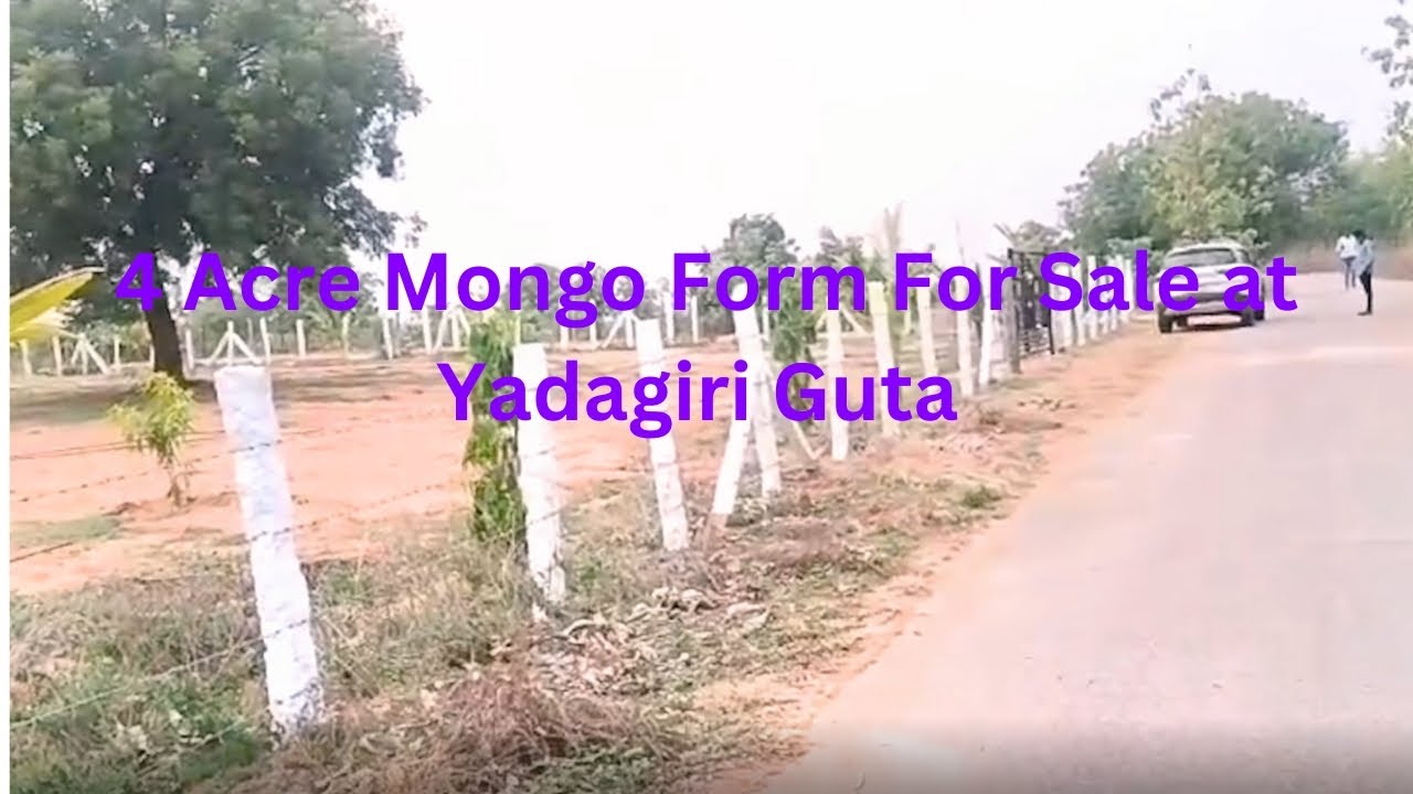 Mango form For sale || Agriculture Land sale at Reasonable Price ...