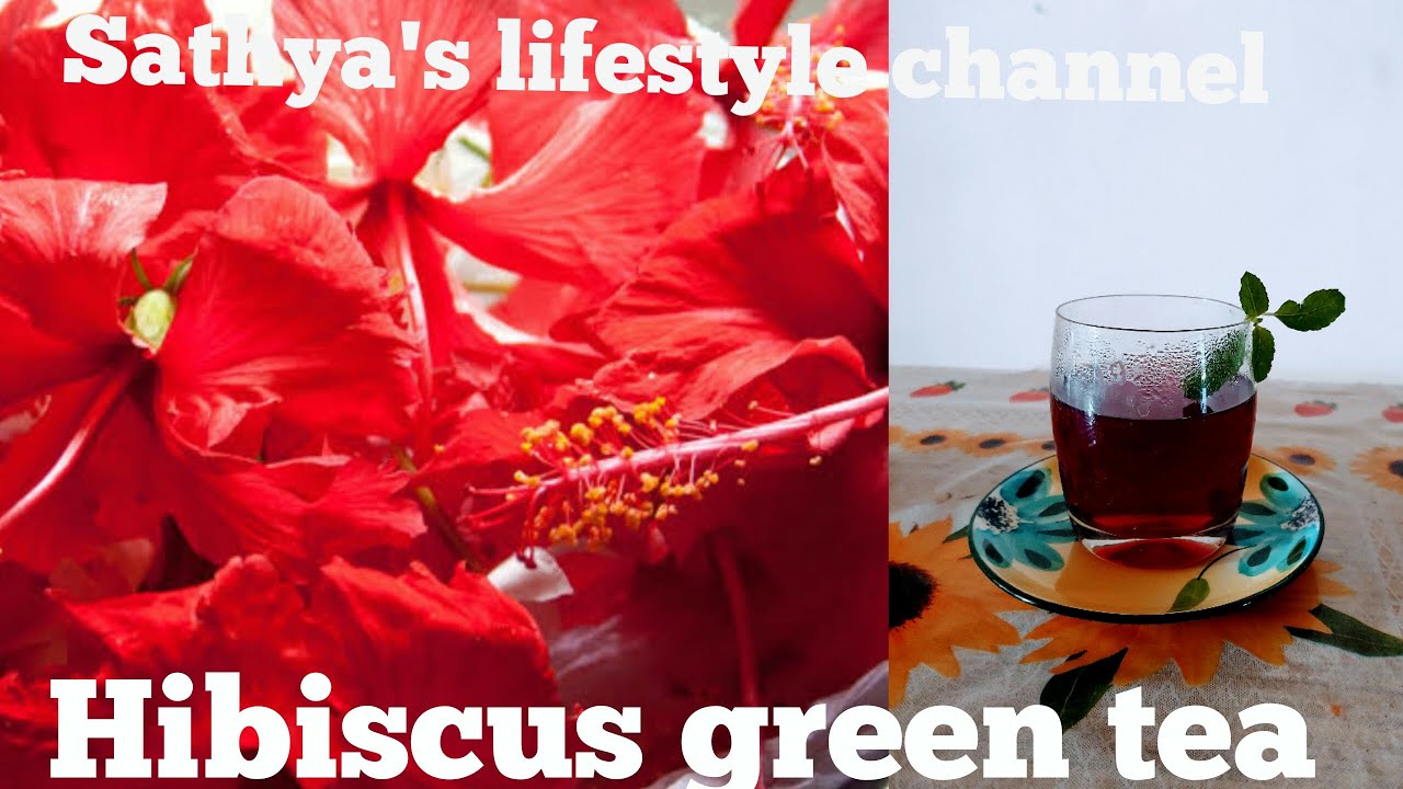 Hibiscus Tea| Hibiscus tea benefits| Sembaruthi tea in tamil ...