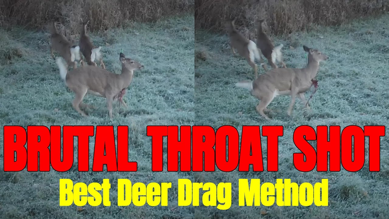 BRUTAL Throat Shot *Best Deer Drag Method* - YouTube