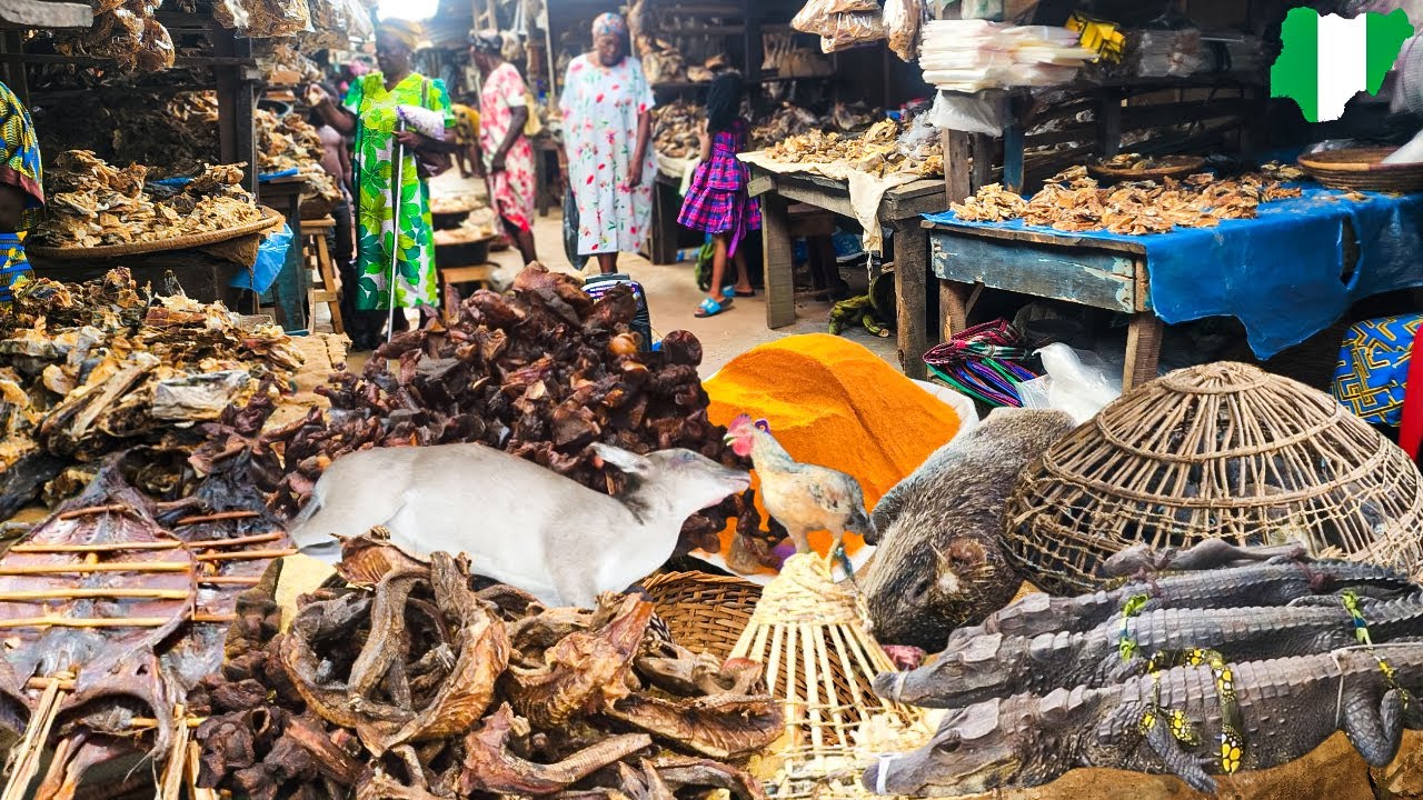 Bush Meat at New Benin Market, Benin City 🇳🇬. Exploring Prices, Sellers ...