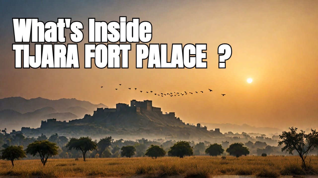 Tijara Fort Palace By Neemrana: An Inside Story Of A Weekend ...