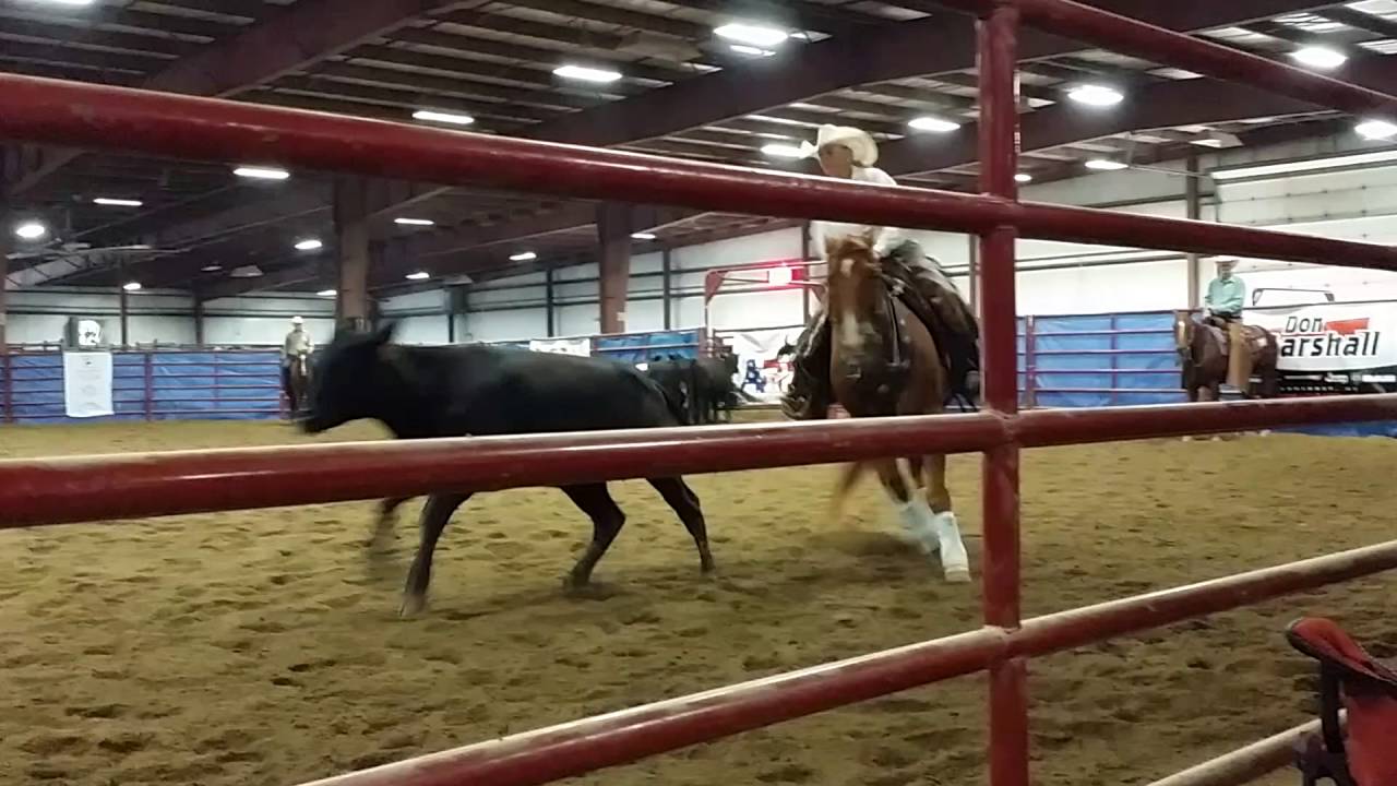 ARHA World Show 2016(1) - YouTube