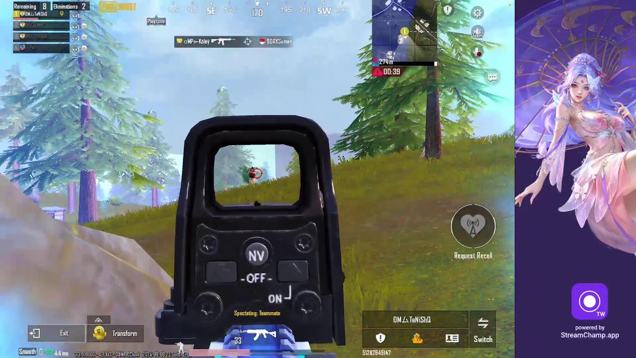 DM JENNY_YT Live Stream - YouTube