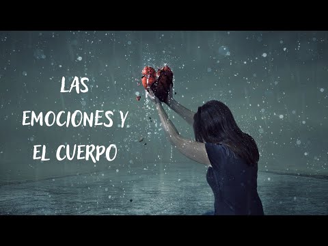 Las emociones y el cuerpo!!! - YouTube