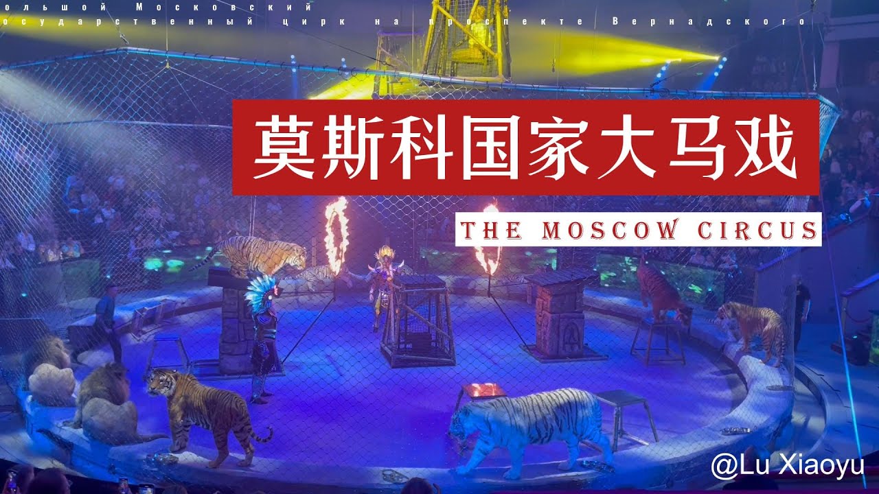 【现场原声】#莫斯科国家大马戏团 #The Moscow Circus#Московский государственный цирк ...