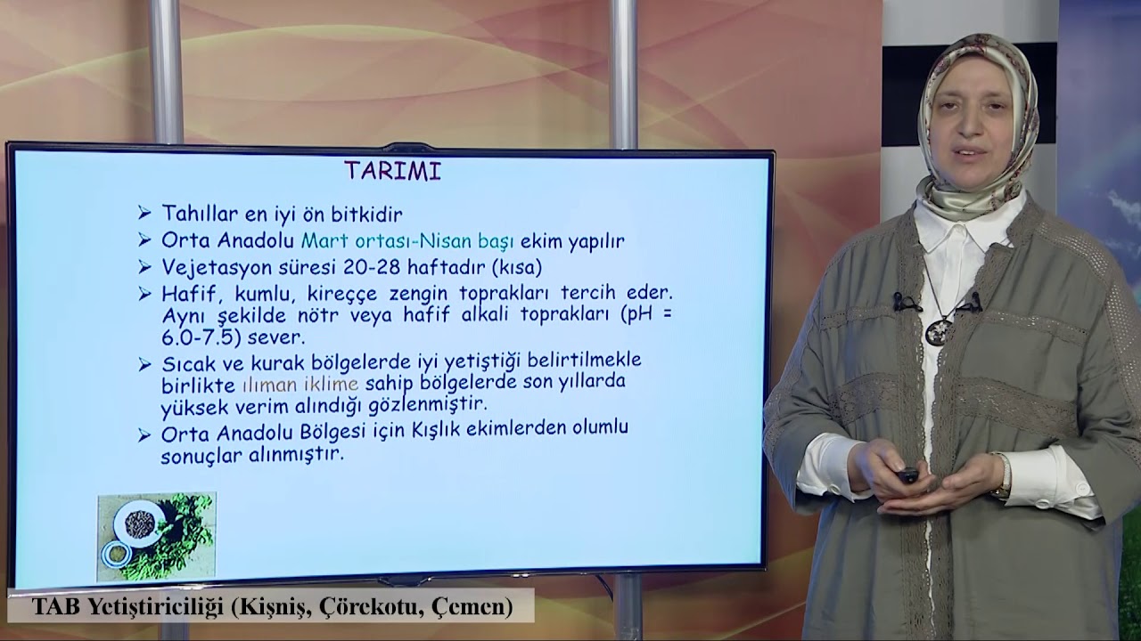 Tıbbi ve Aromatik Bitkiler Yetiştiriciliği - YouTube