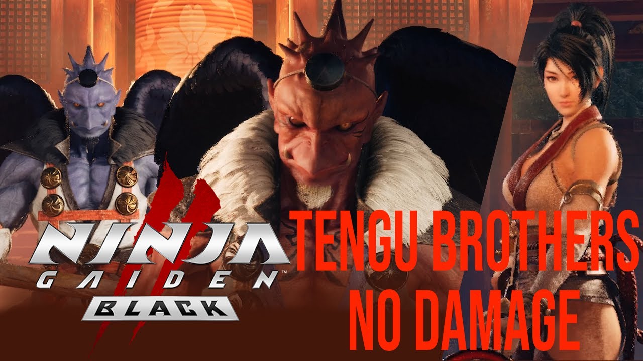 Ninja Gaiden II Black - Black Spider Tengu Brothers (Momiji) NO DAMAGE ...