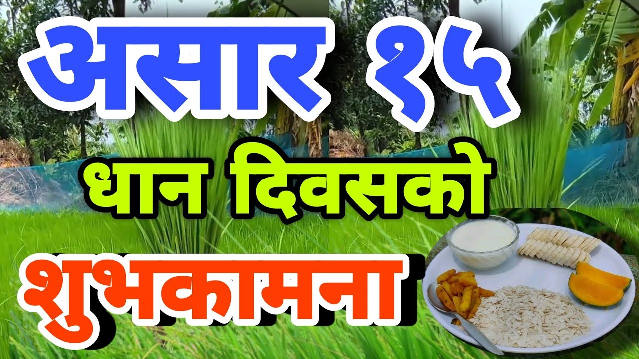 Asar 15 | असार १५ धान दिवसको शुभकामना | Asar 15 Dhan Diwas Suvakamna ...