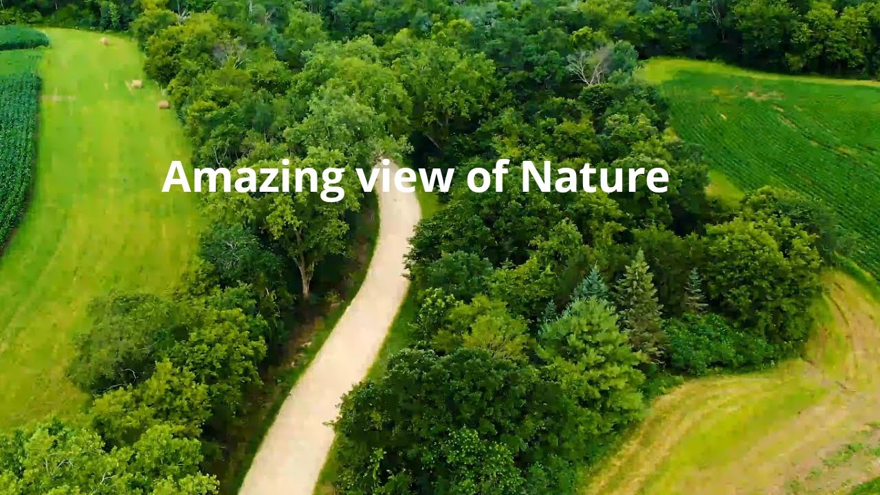 Nature Amazing View of Natural Beauty (Full Hd Video) - YouTube