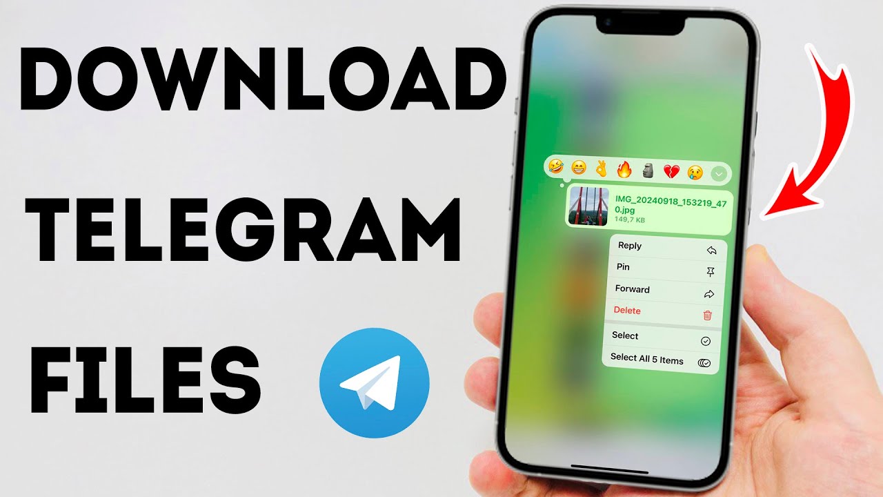 How To Download Files From Telegram & How To Find Downloaded Files ...