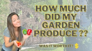 WHAT WAS THE NET WORTH OF MY GARDEN? // How much did I save on produce this summer?