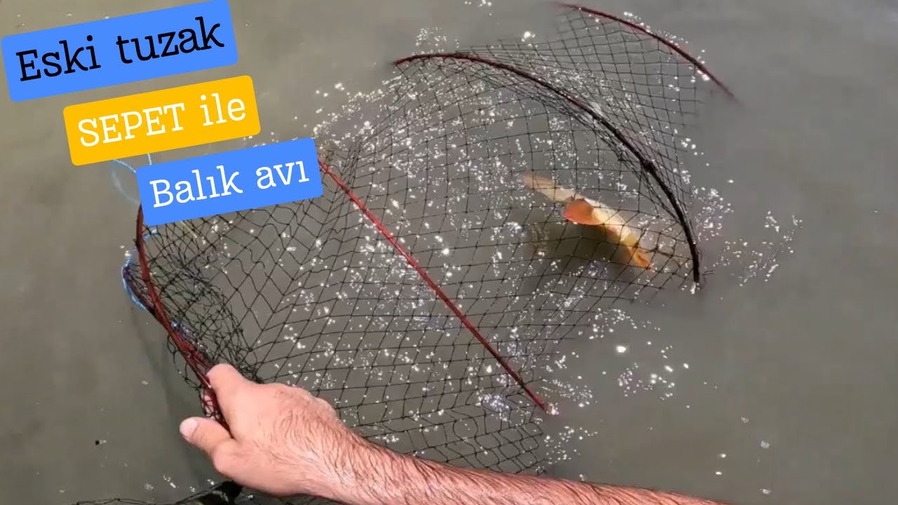 eski tuzak yöntemiyle balık avı | Sepet balık avı | Sazan balığı avı ...