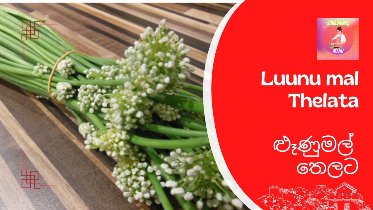 Luunu mal thelata - ළුෑණුමල් තෙලට - subashini's menu - YouTube