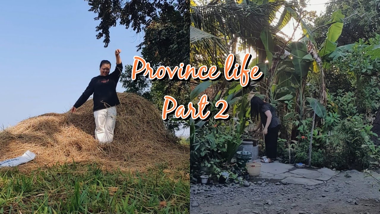 Province life part 2 - YouTube