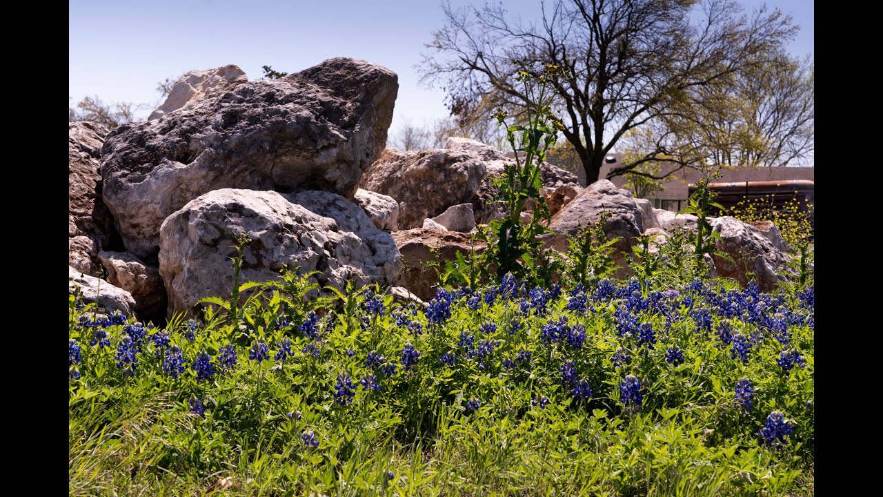 East View RV Ranch Georgetown TX - YouTube