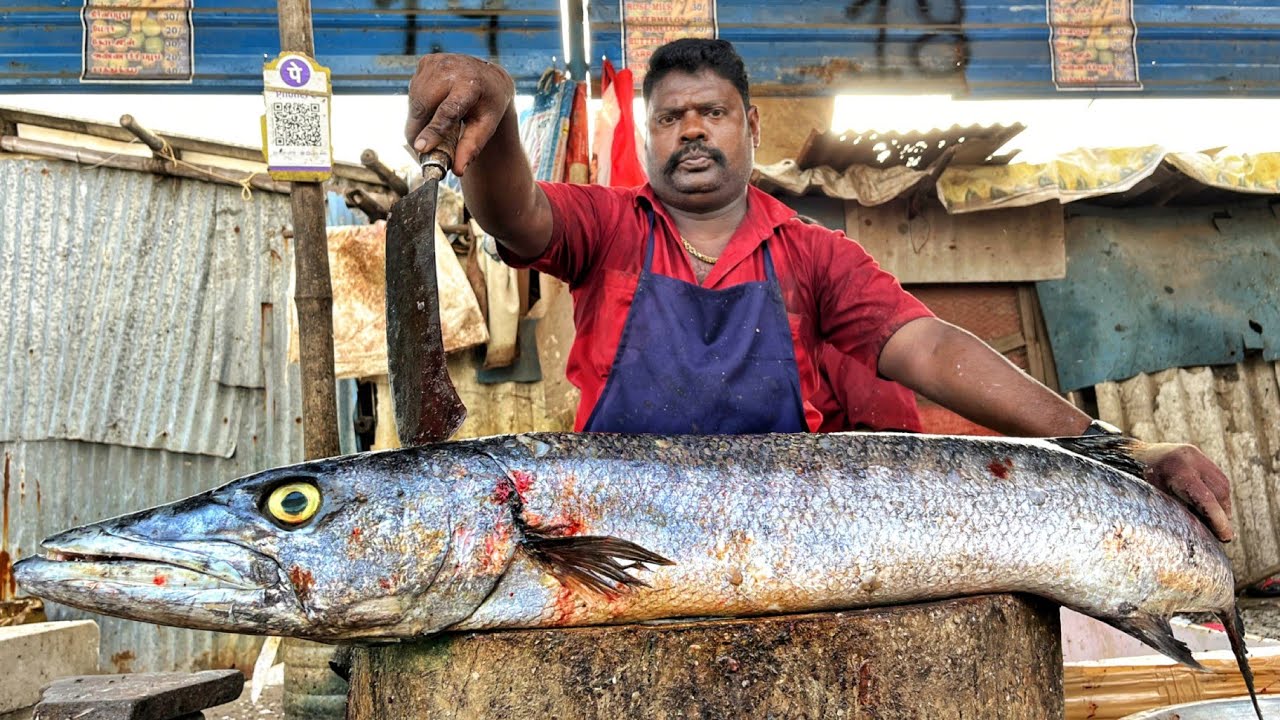 KASIMEDU 🔥 SPEED SELVAM | BIGGEST BARRACUDA FISH CUTTING VIDEO | 4K ...