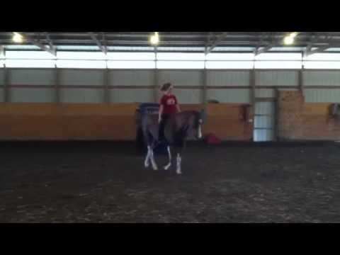 Redneck Rockstar - YouTube