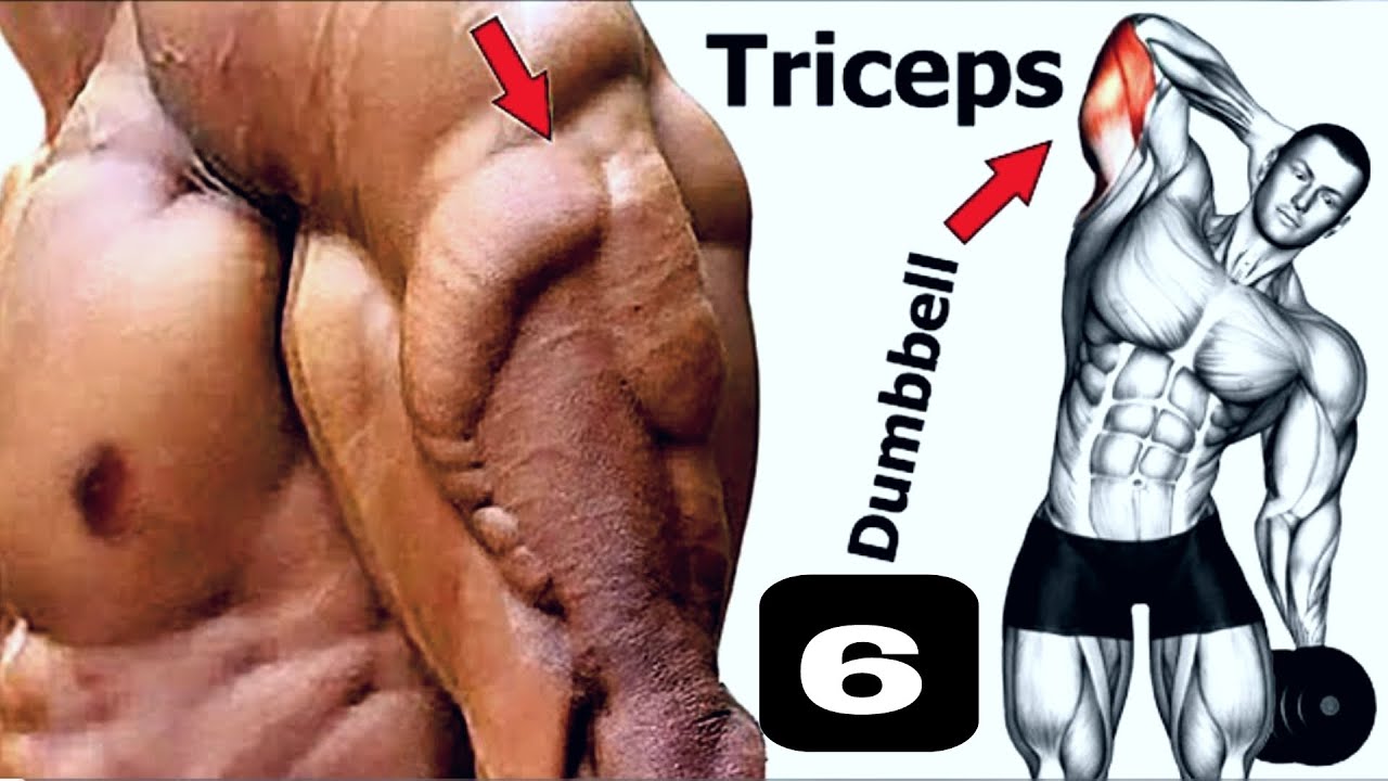 One of the most popular triceps exercises, for good reason. The move is ...