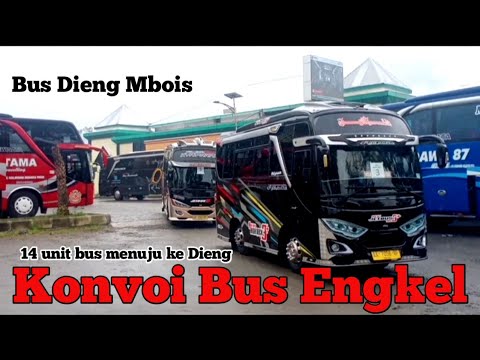 BUS ENGKEL SHUTTLE WISATA KONVOI‼️ 14 bus ke dieng - YouTube