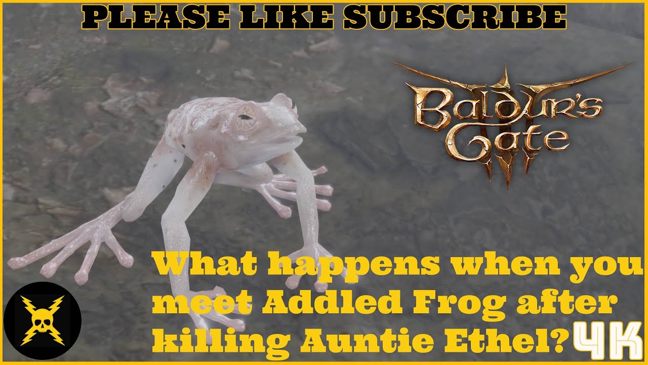 Baldur's Gate 3: What happens when you meet Addled Frog after killing ...
