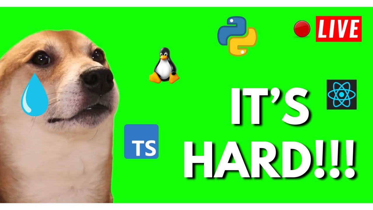 🔴rebuilding Stream Commands Live Coding Python Typescript Coding 7125