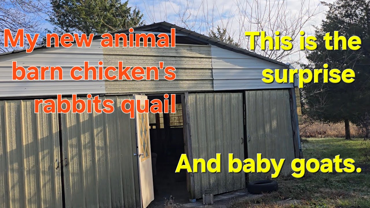 Carport into a chicken barn and quail. - YouTube