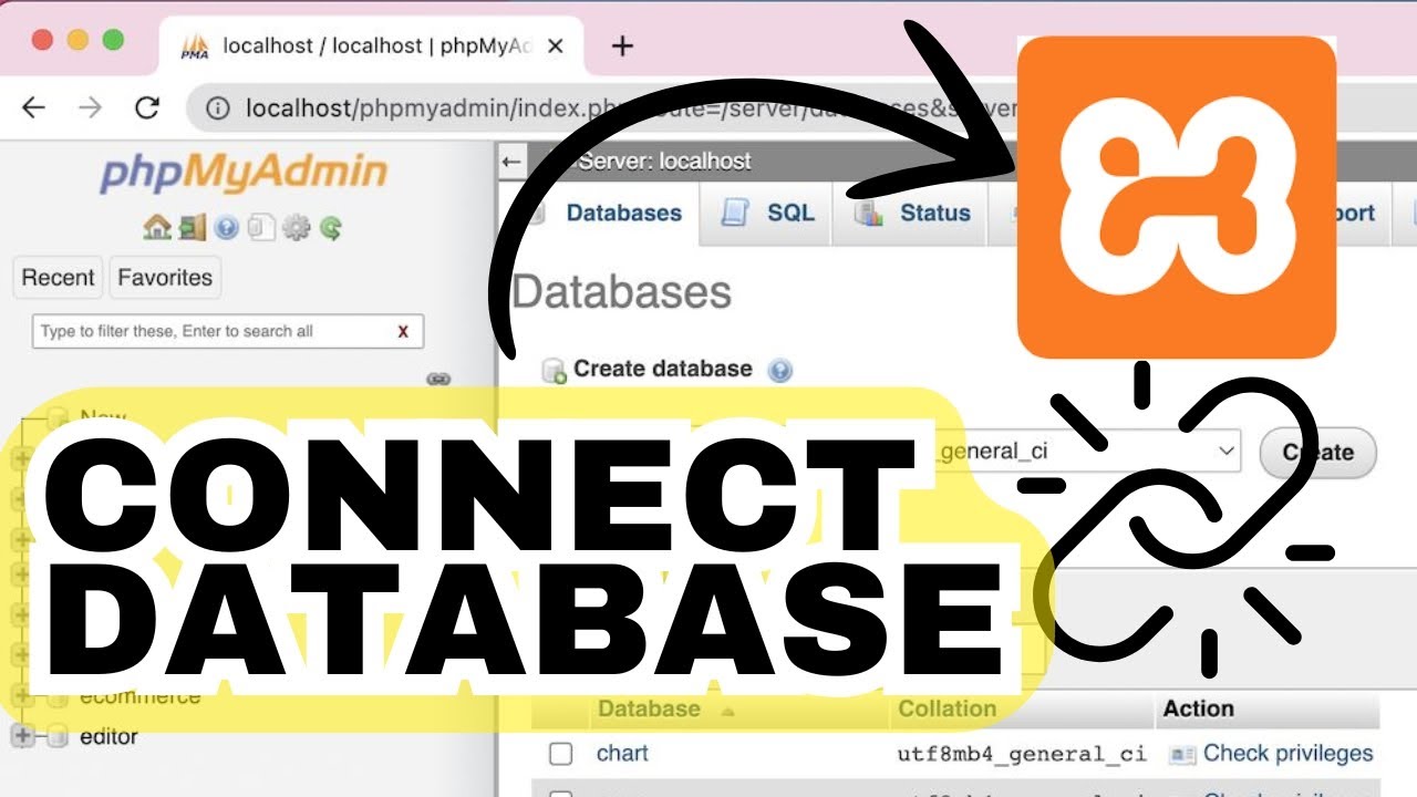 02 How To Connect Mysql Database In Php Php Tutorial For Beginners 9916