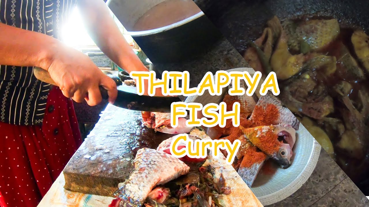 How Cut and make Yummy Thilapia Fish Pickle Fish curry |Cutting ...